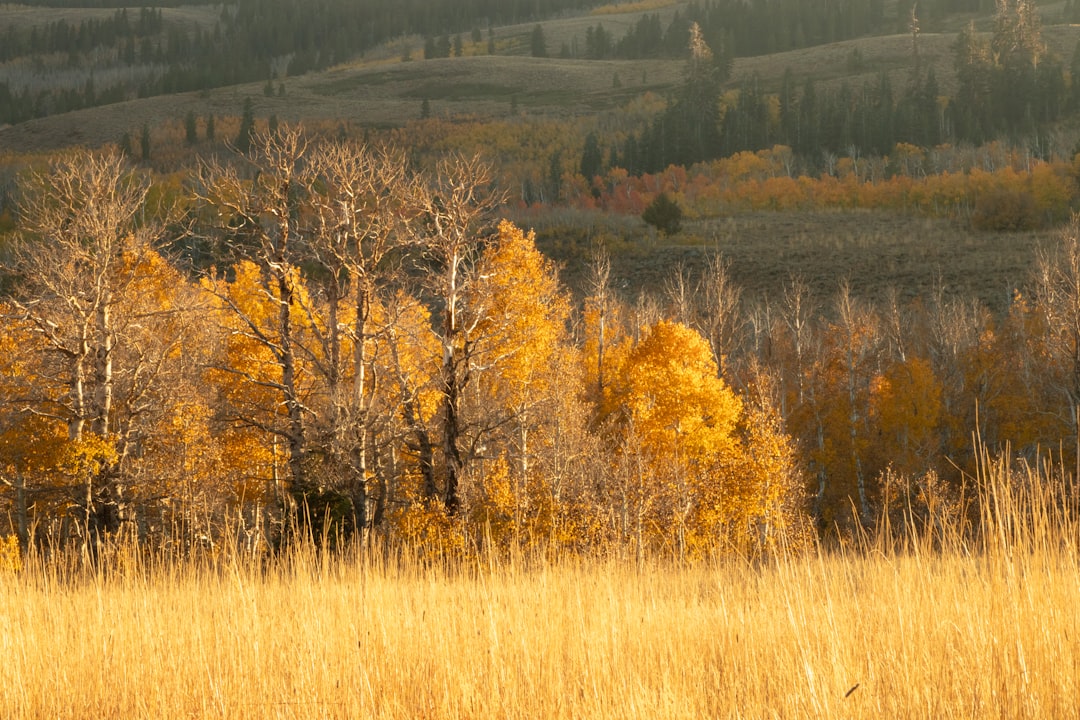 Ochrona przyrody – jak zachować się w parku narodowym - parkinarodowe ...
